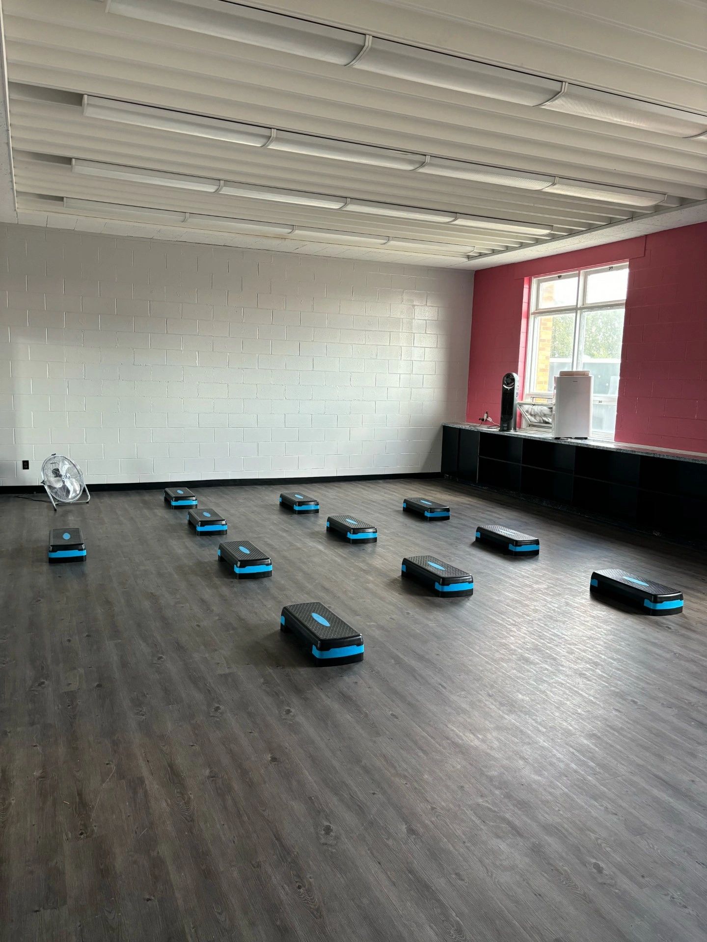 DanceFit Studio